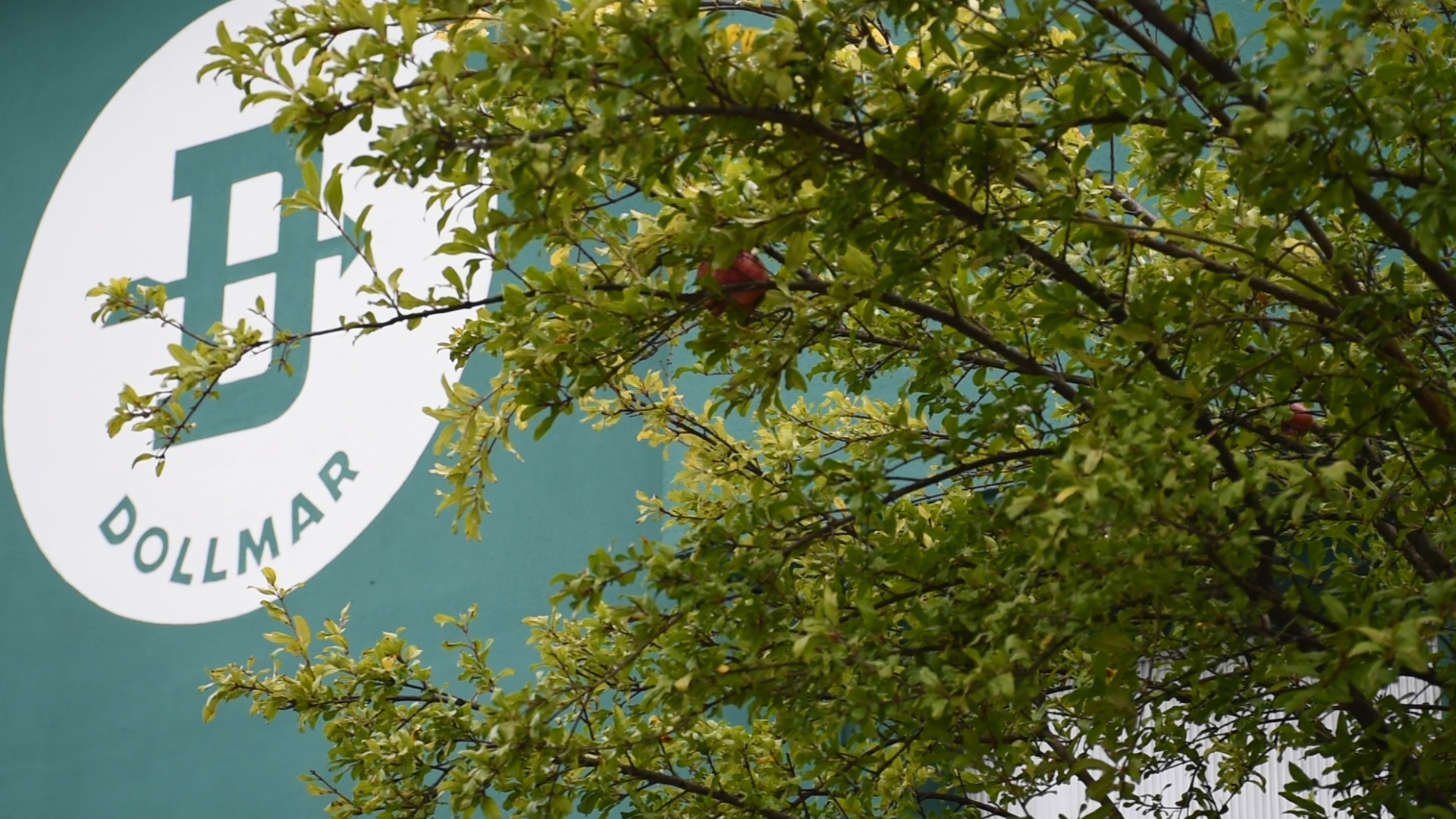 Nuovo video di presentazione Dollmar - Dollmar S.p.A.